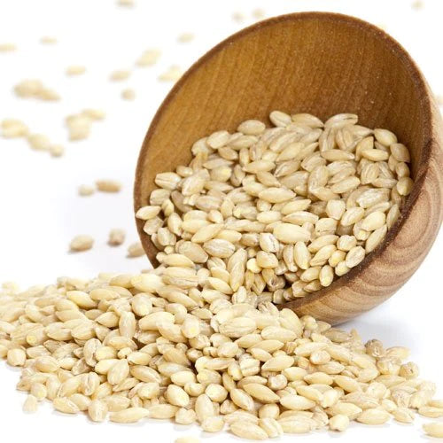 Cebada Perla Orgánica en grano – Casa Verde